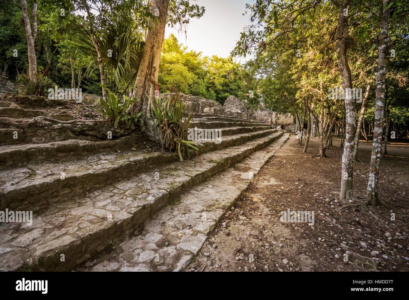 Structure in Coba (Quintana Roo, Mexico Stock Photo - Alamy