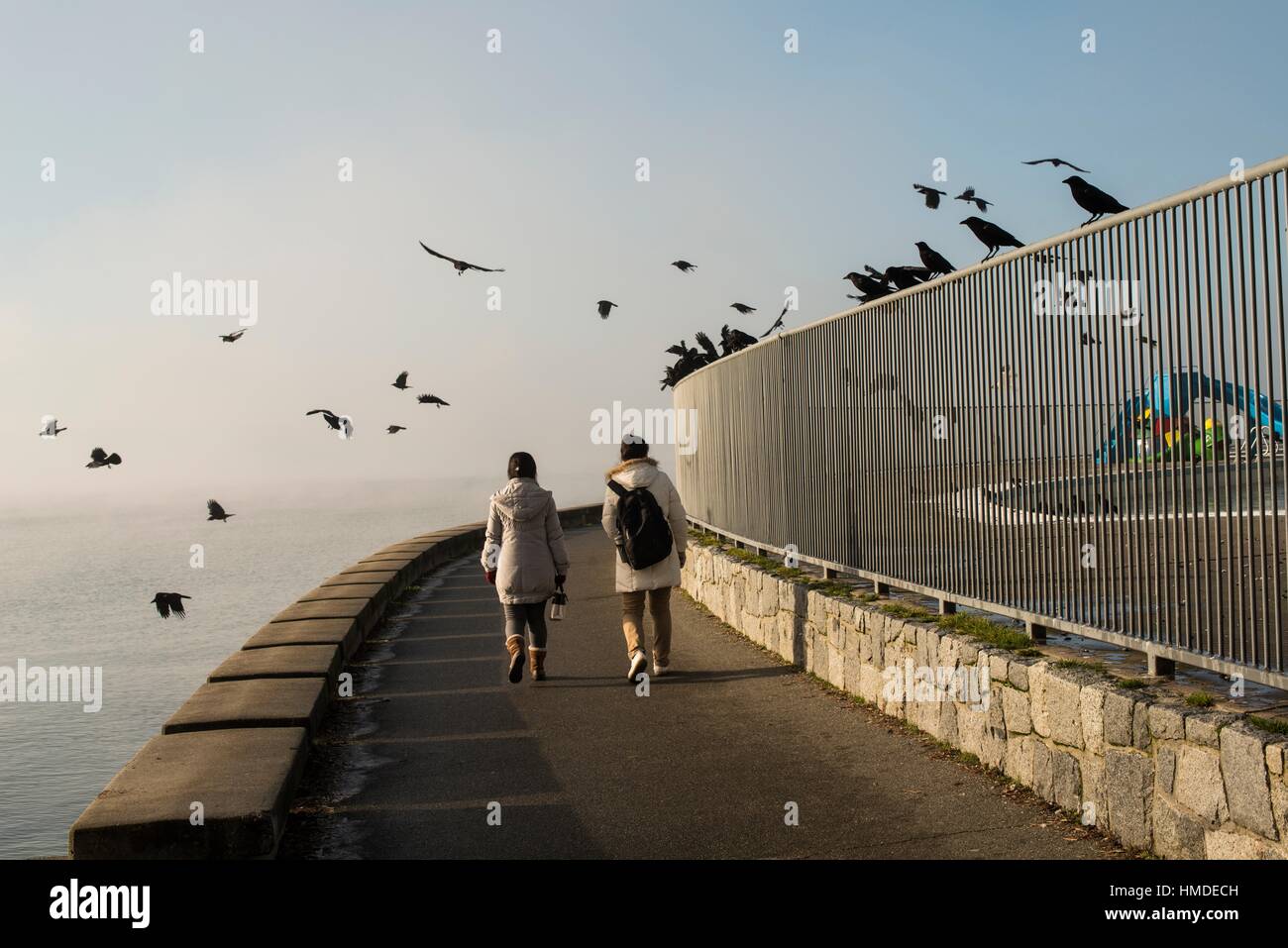 Stanley Park Second Beach High Resolution Stock Photography and Images ...