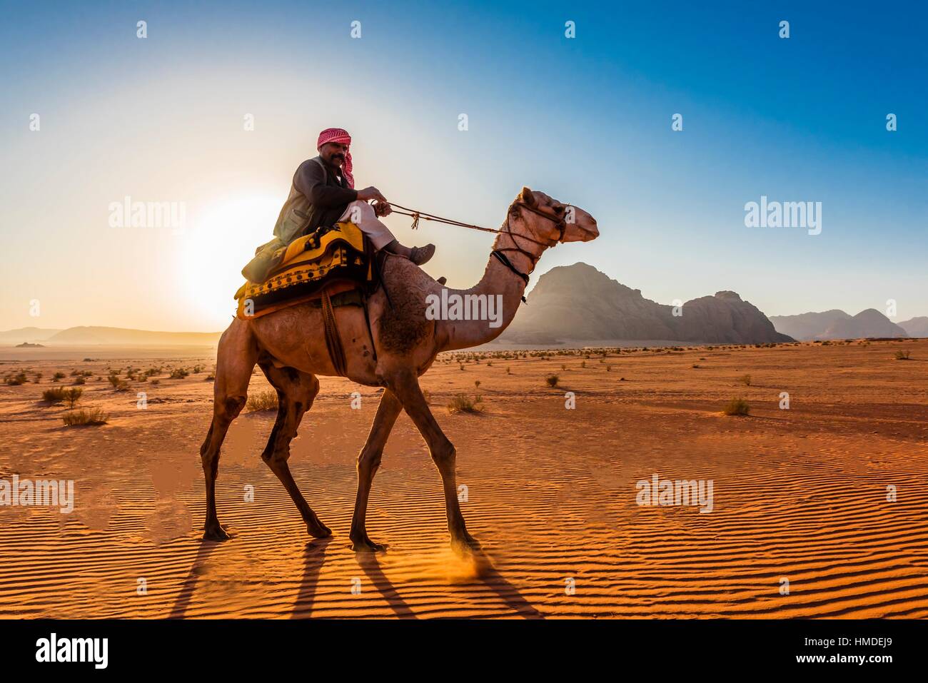 Bedouin Man Riding Camel Stock Photos & Bedouin Man Riding Camel Stock ...