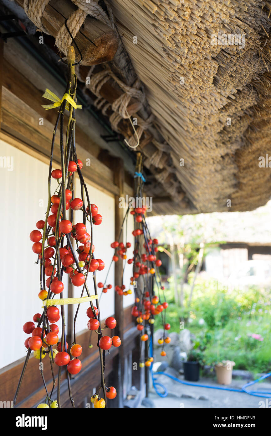 Gassho Zukuri (Gassho-style) House in Suganuma area of Gokayama, Japan ...