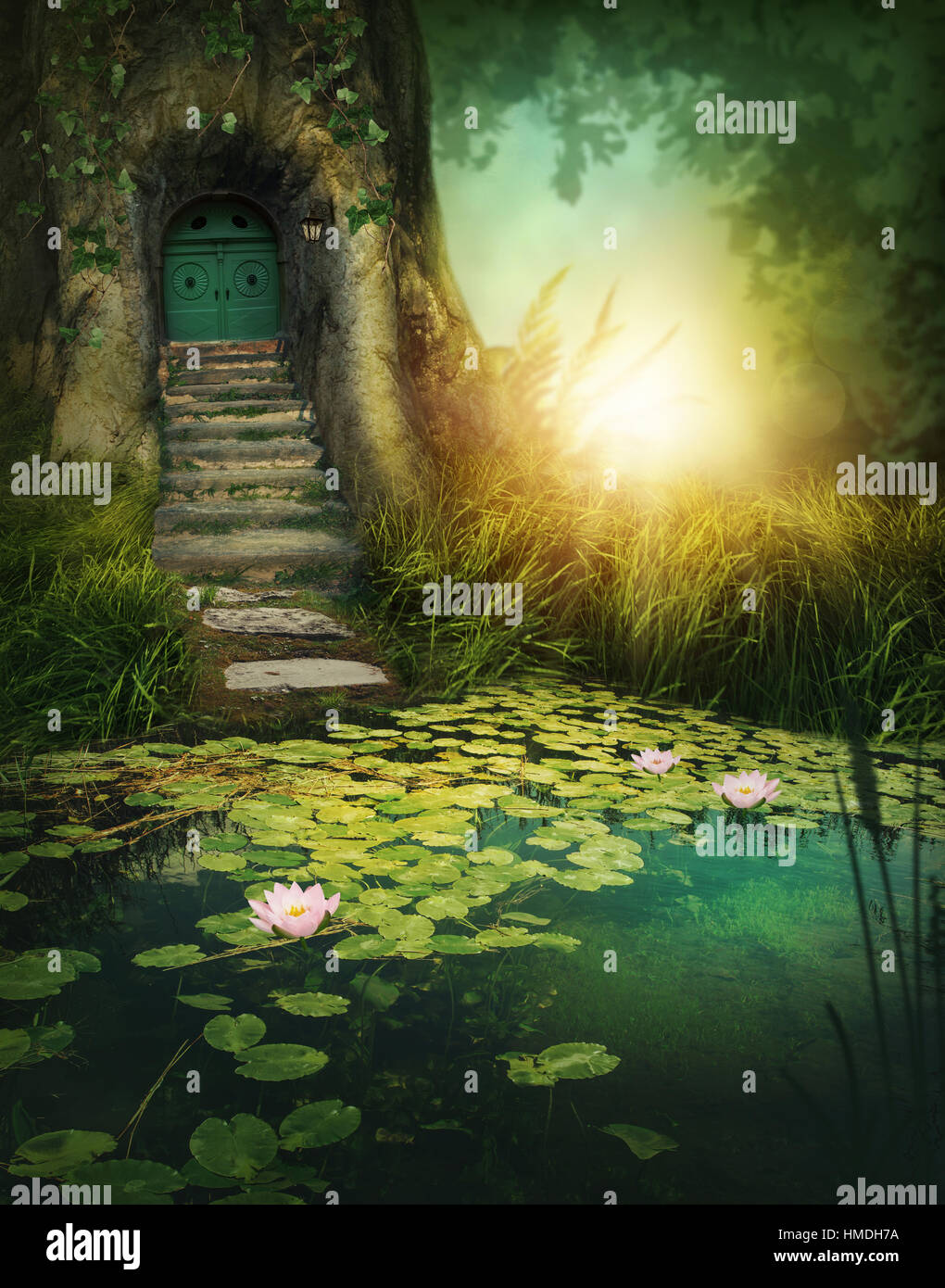 Fantasy Forest Photography