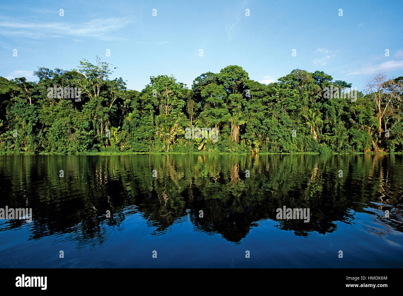 Freshwater natural canals in Tortuguero National Park, Caribbean coast ...