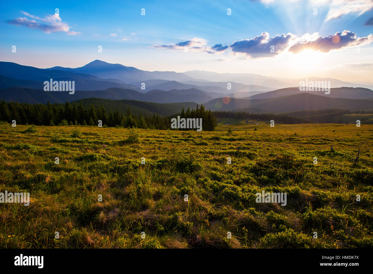Colorful summer landscape Stock Photo - Alamy