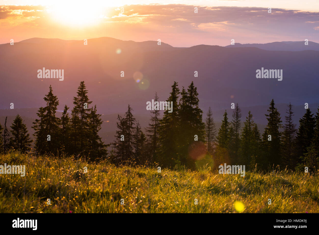 Colorful summer landscape Stock Photo - Alamy