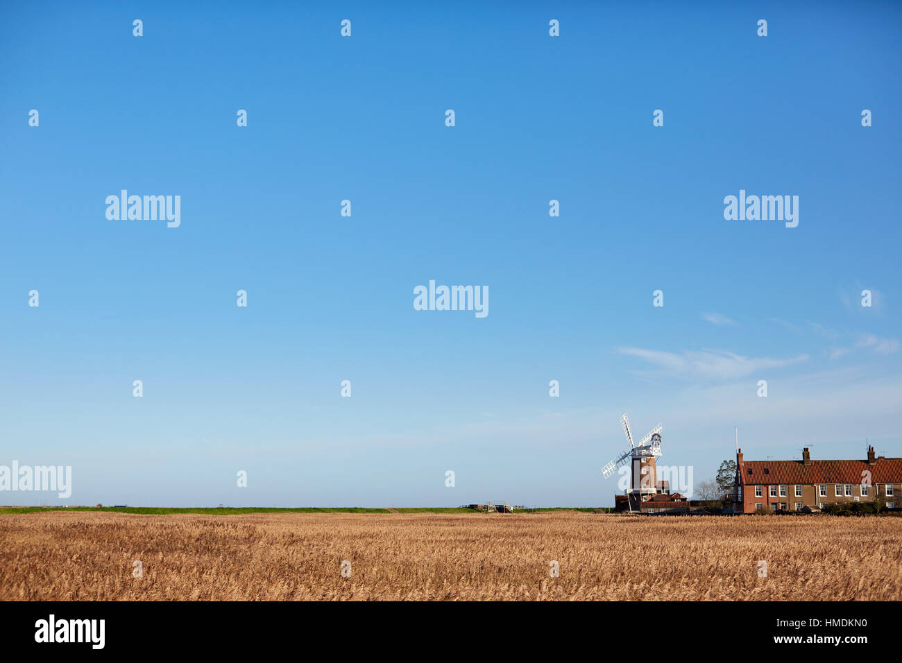 Cley Windmill through the reed marshes, a historic North Norfolk ...