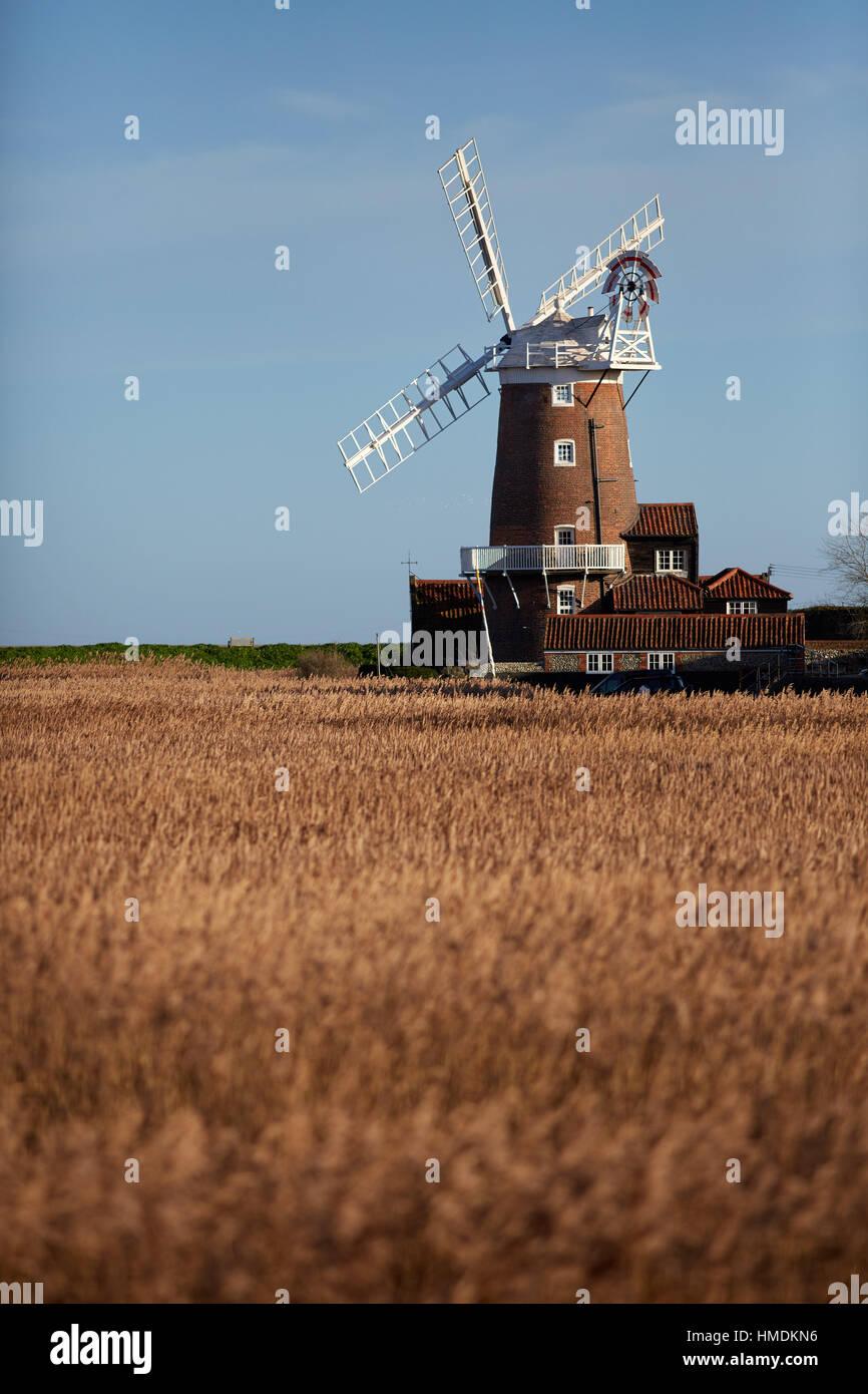 Cley Windmill through the reed marshes, a historic North Norfolk ...