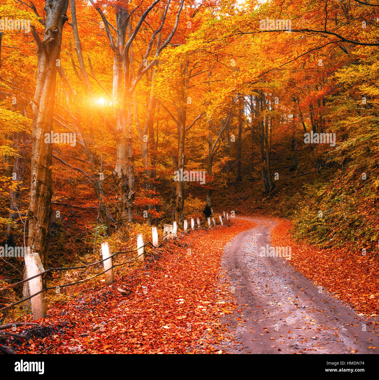 fairy autumn alley Stock Photo - Alamy