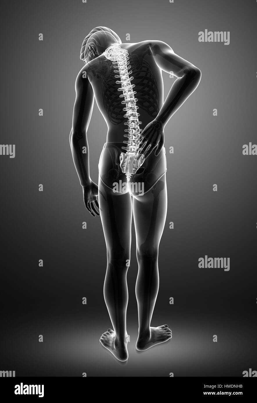 Male human body illustration 3d Black and White Stock Photos & Images ...