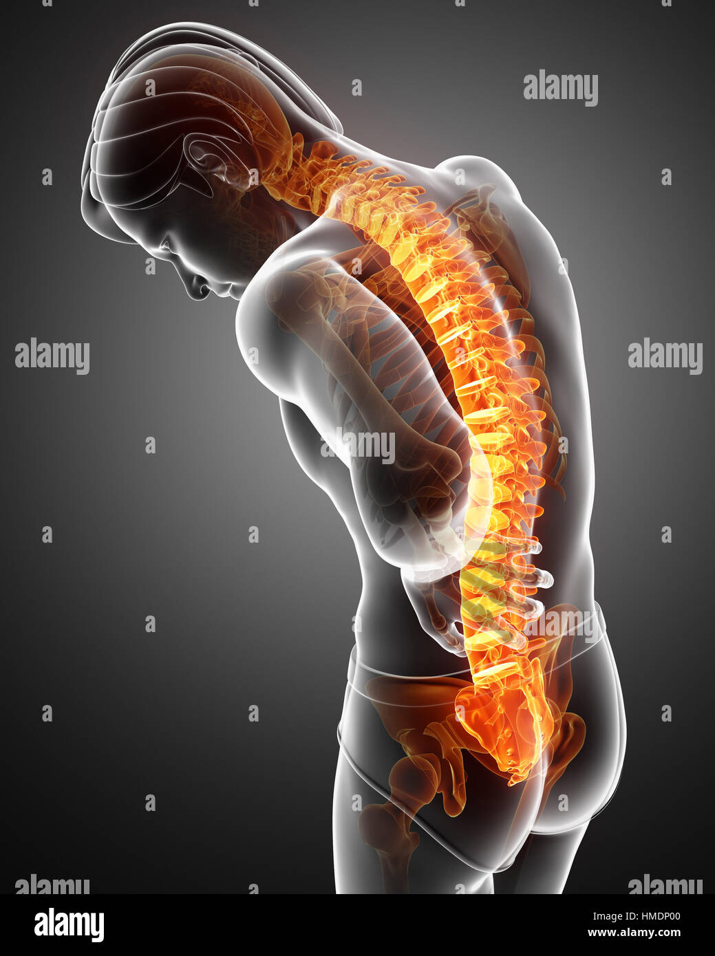 3D Illustration of male Feeling the back pain Stock Photo - Alamy
