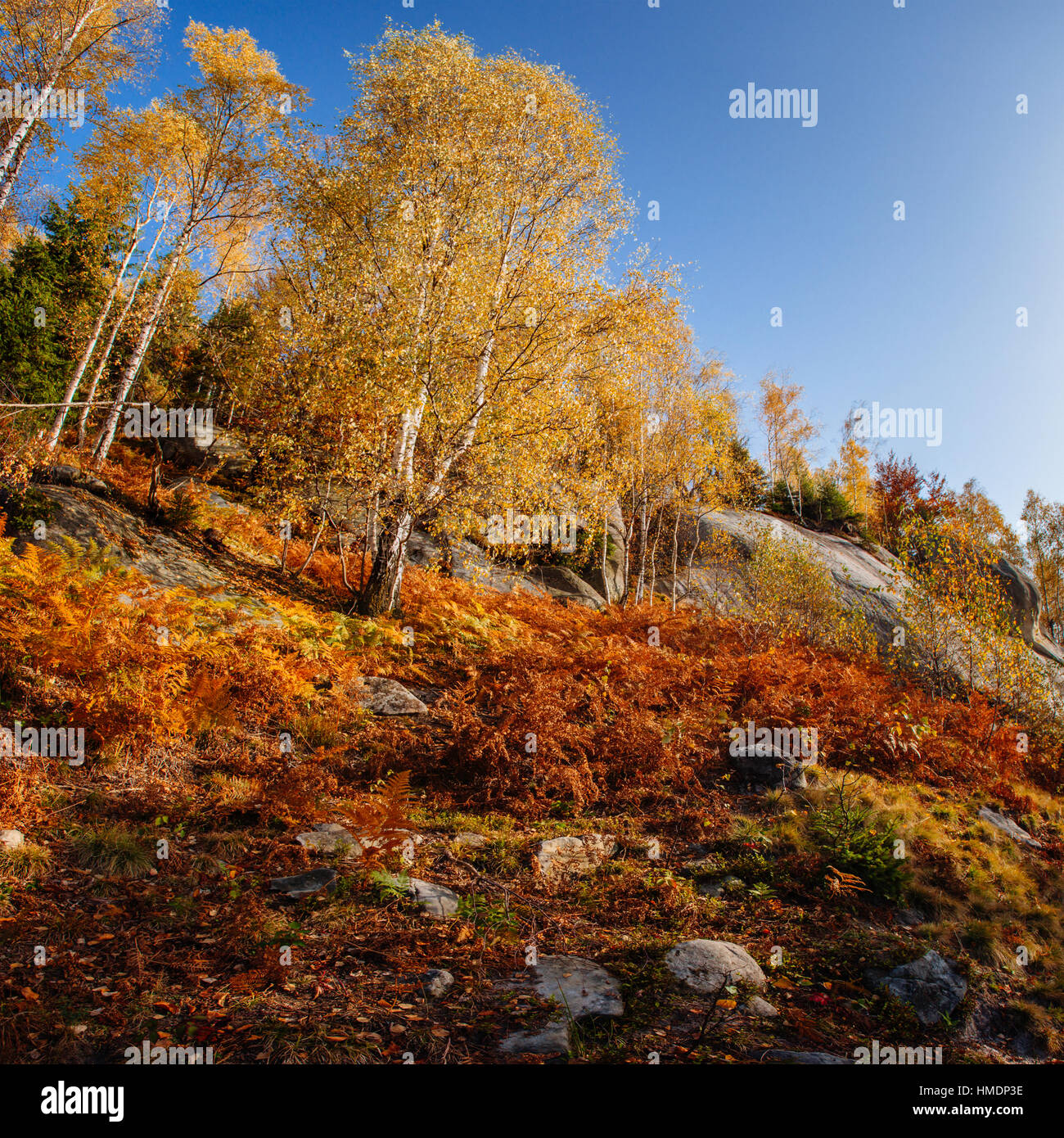 rock massif in the Carpathians Stock Photo - Alamy