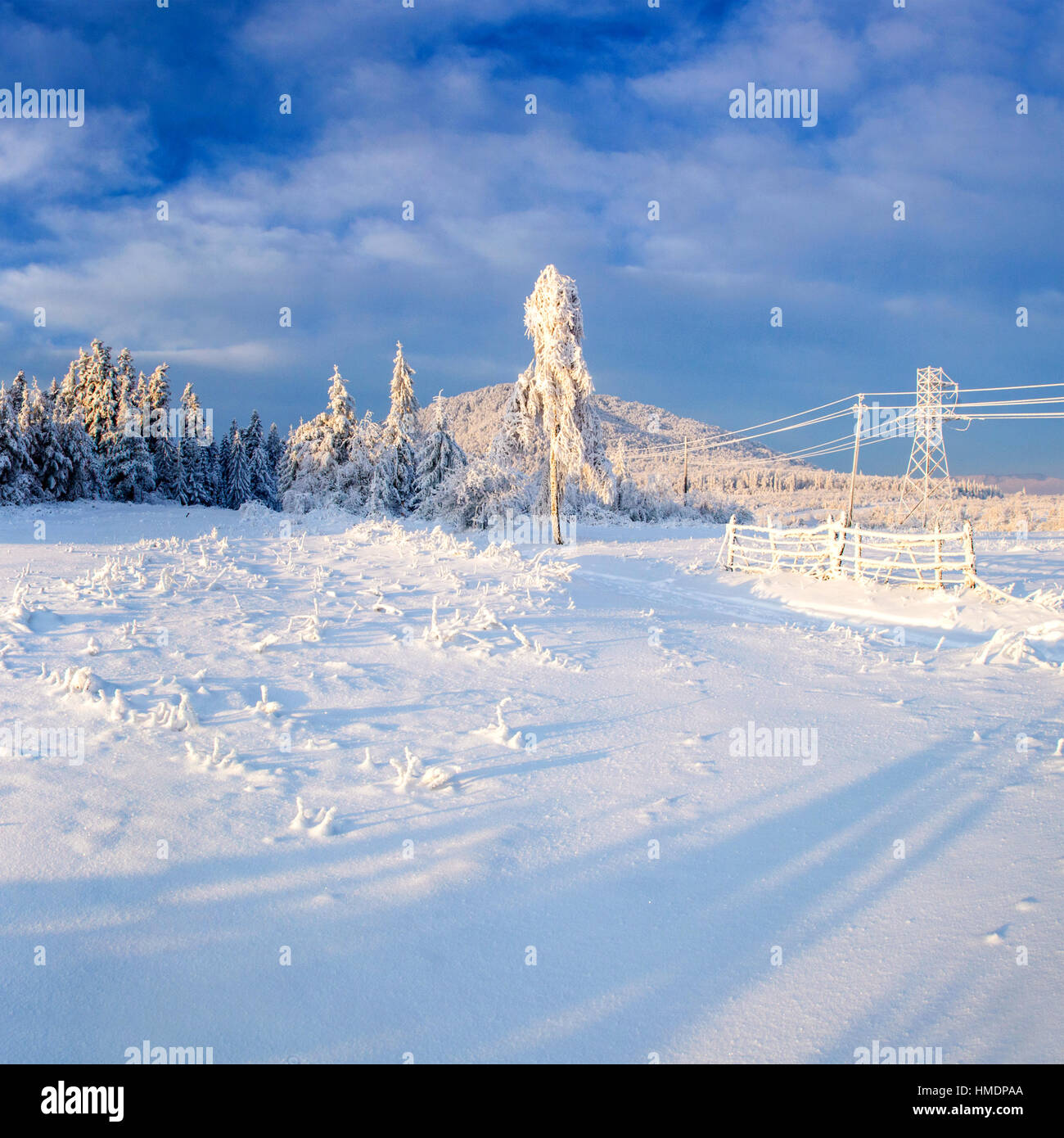 fabulous winter landscape Stock Photo - Alamy