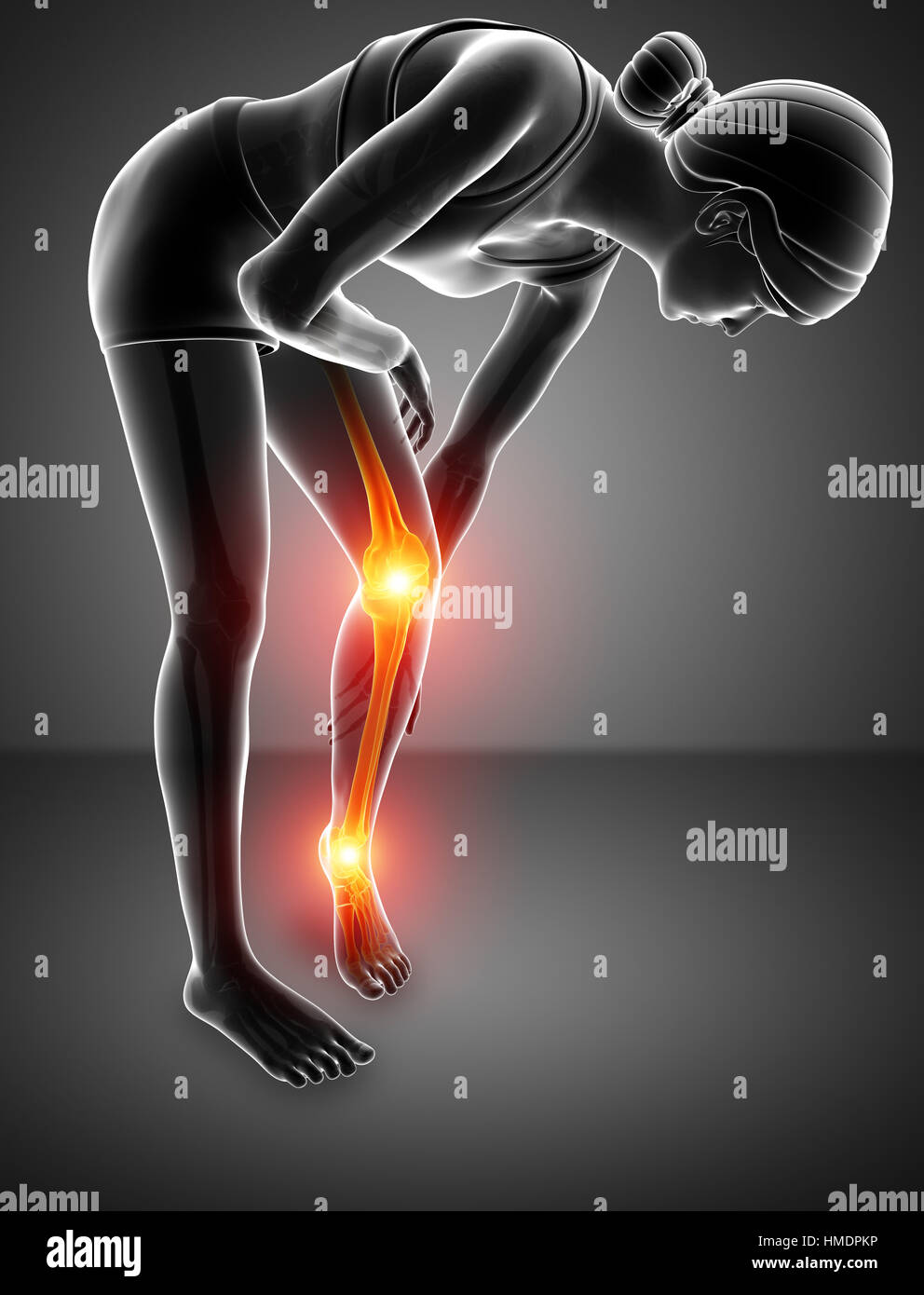 human body anatomy with joint pain Stock Photo - Alamy