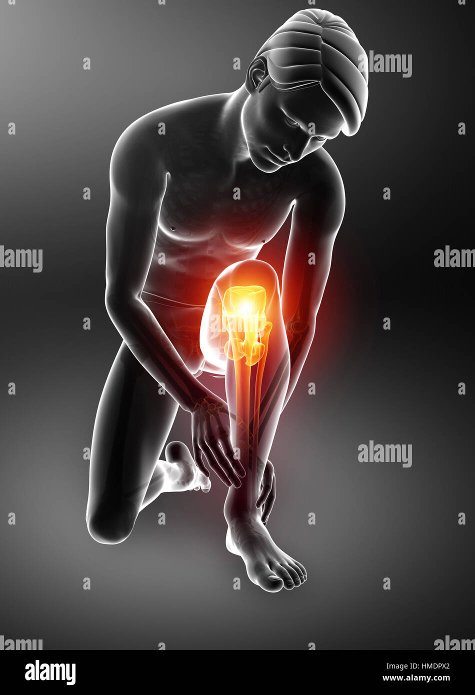 human body anatomy with joint pain Stock Photo - Alamy