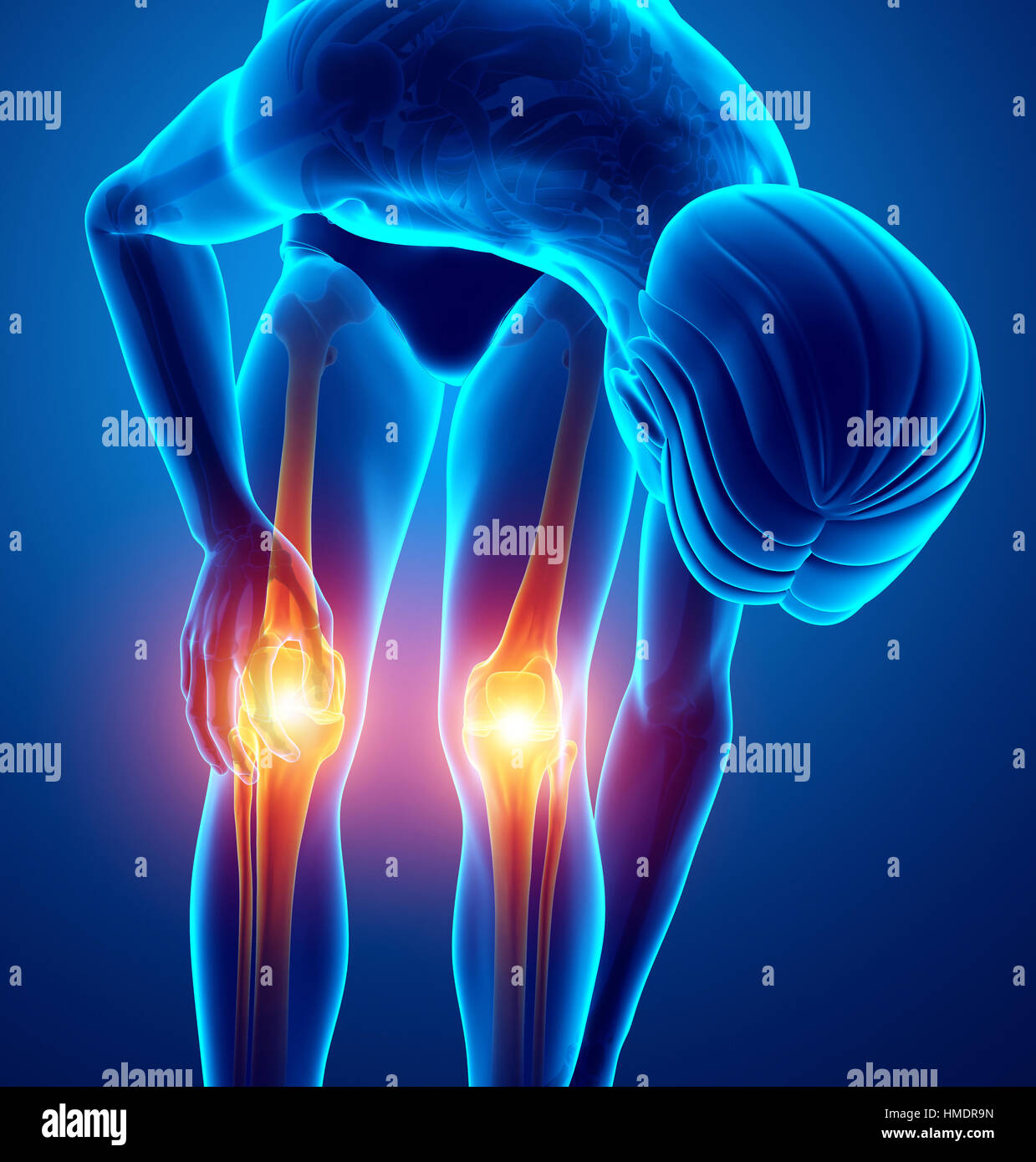 human body anatomy with joint pain Stock Photo - Alamy