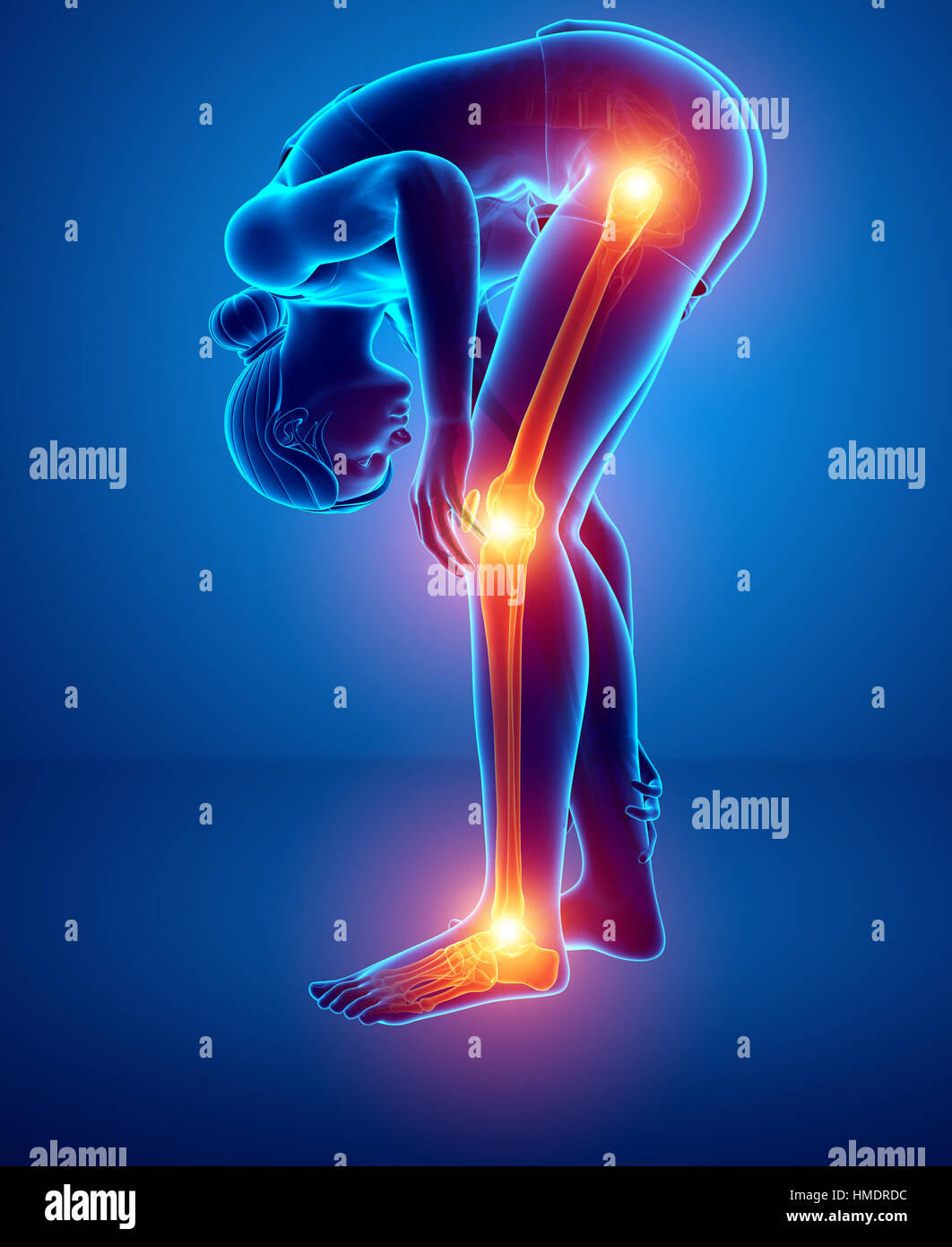 Human skeleton anatomy in motion hi-res stock photography and images ...