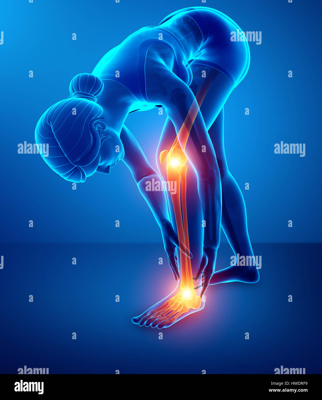human body anatomy with joint pain Stock Photo - Alamy
