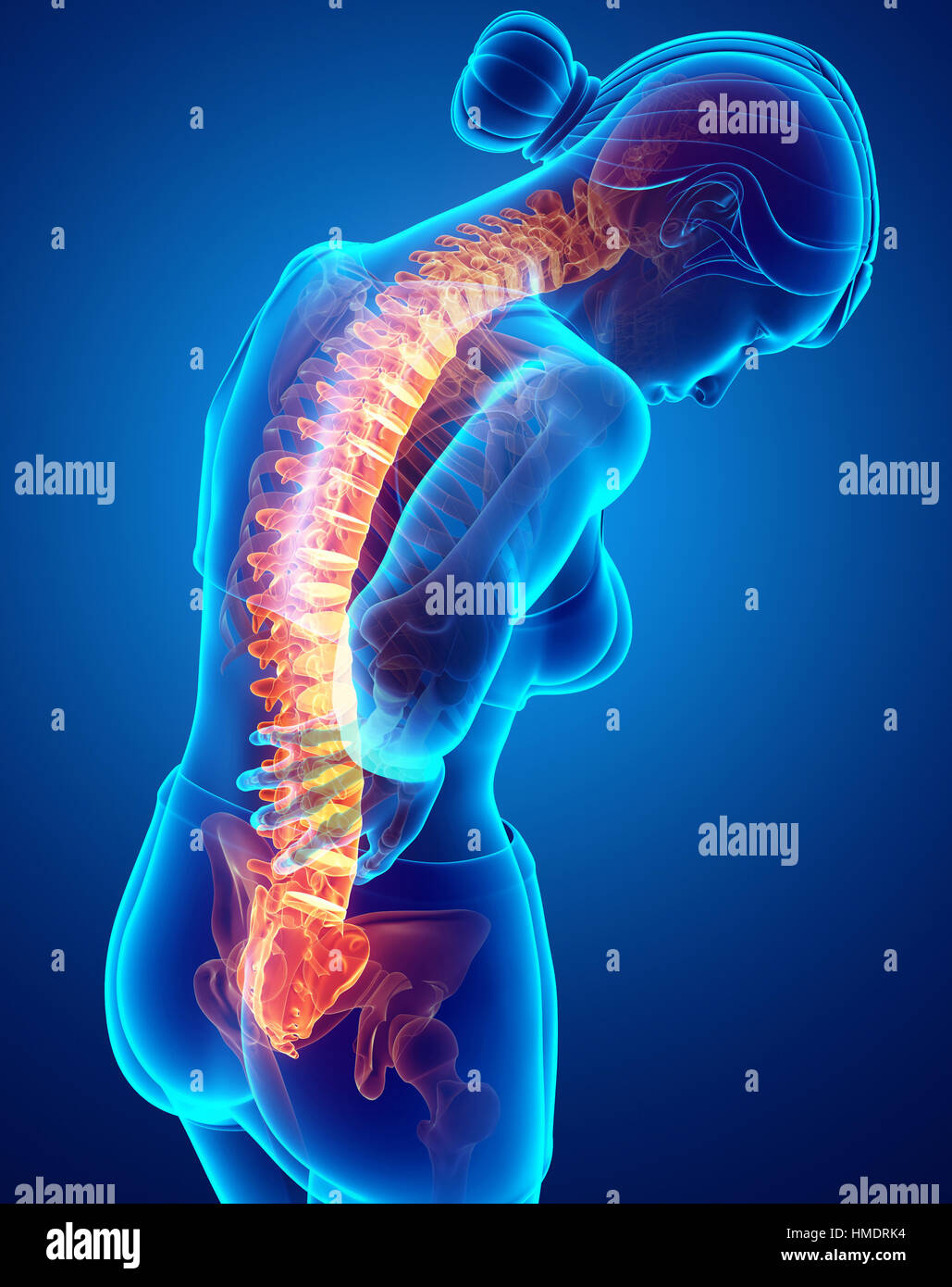 human body anatomy with joint pain Stock Photo - Alamy