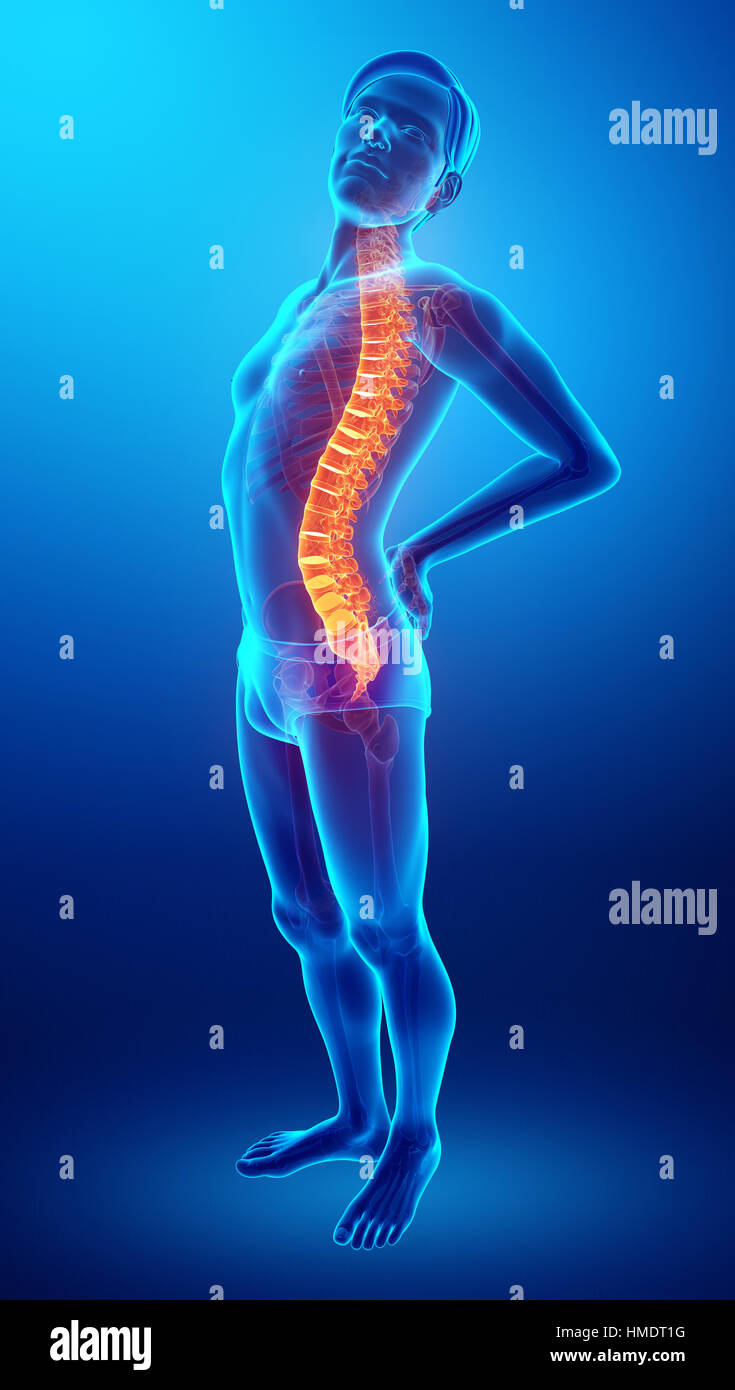 human body anatomy with joint pain Stock Photo - Alamy