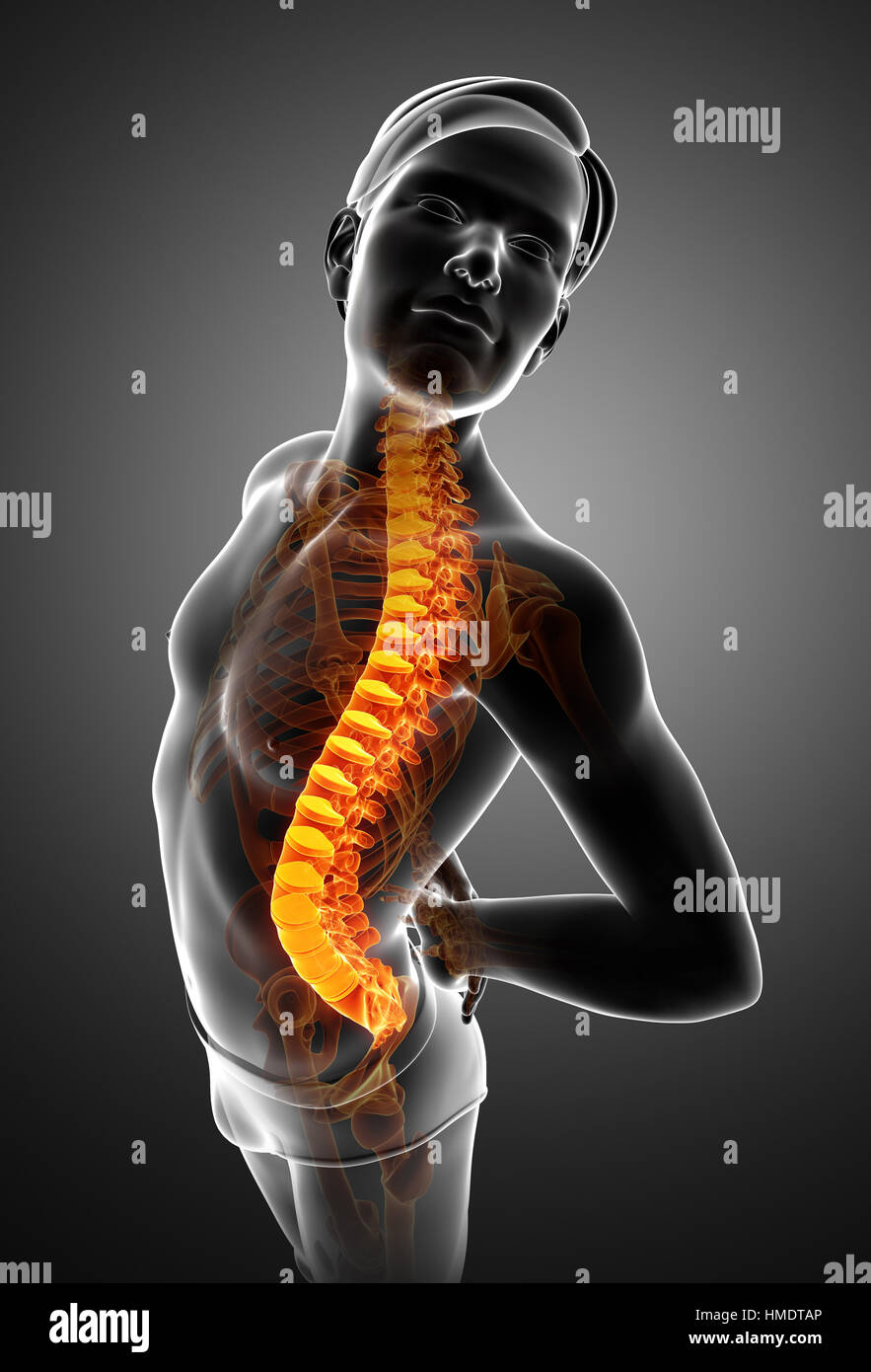 human body anatomy with joint pain Stock Photo - Alamy