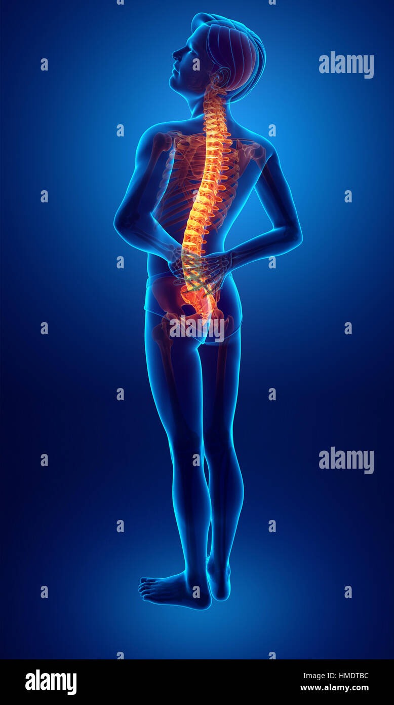 human body anatomy with joint pain Stock Photo - Alamy