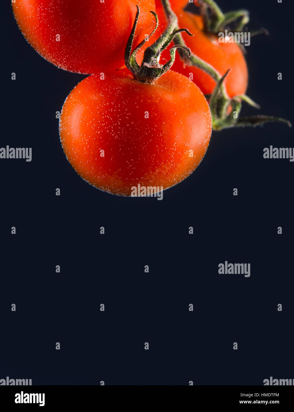 Closeup image of ideal round small tomato vegetables with green fresh ...