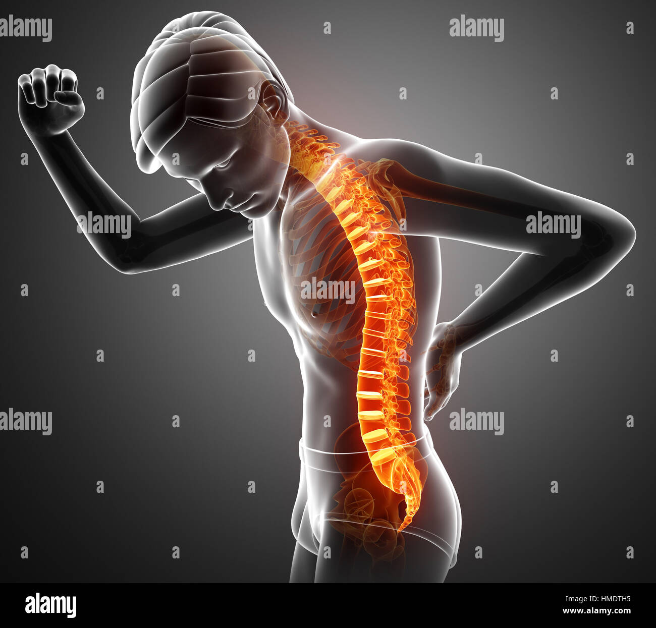 human body anatomy with joint pain Stock Photo - Alamy