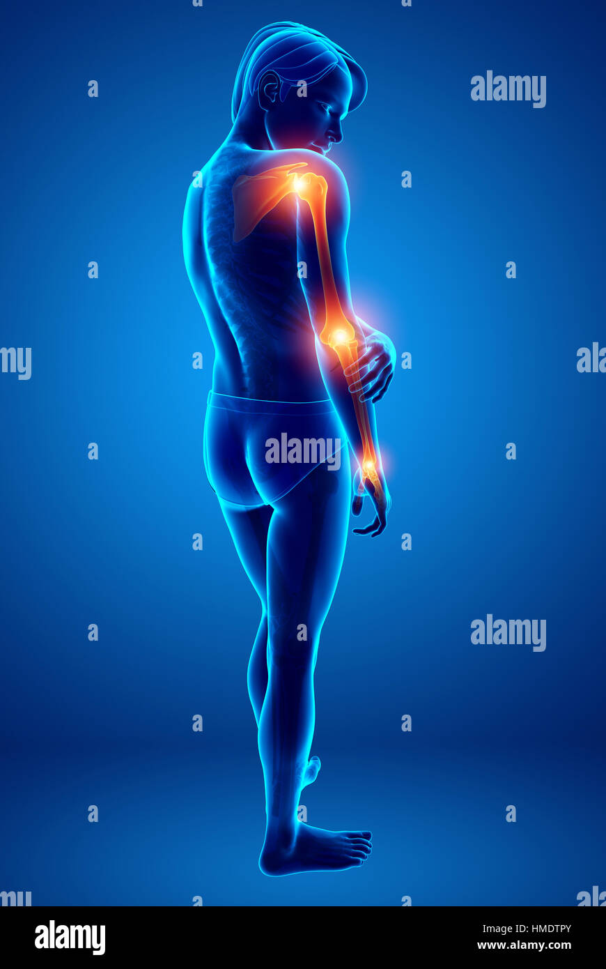 human body anatomy with joint pain Stock Photo - Alamy