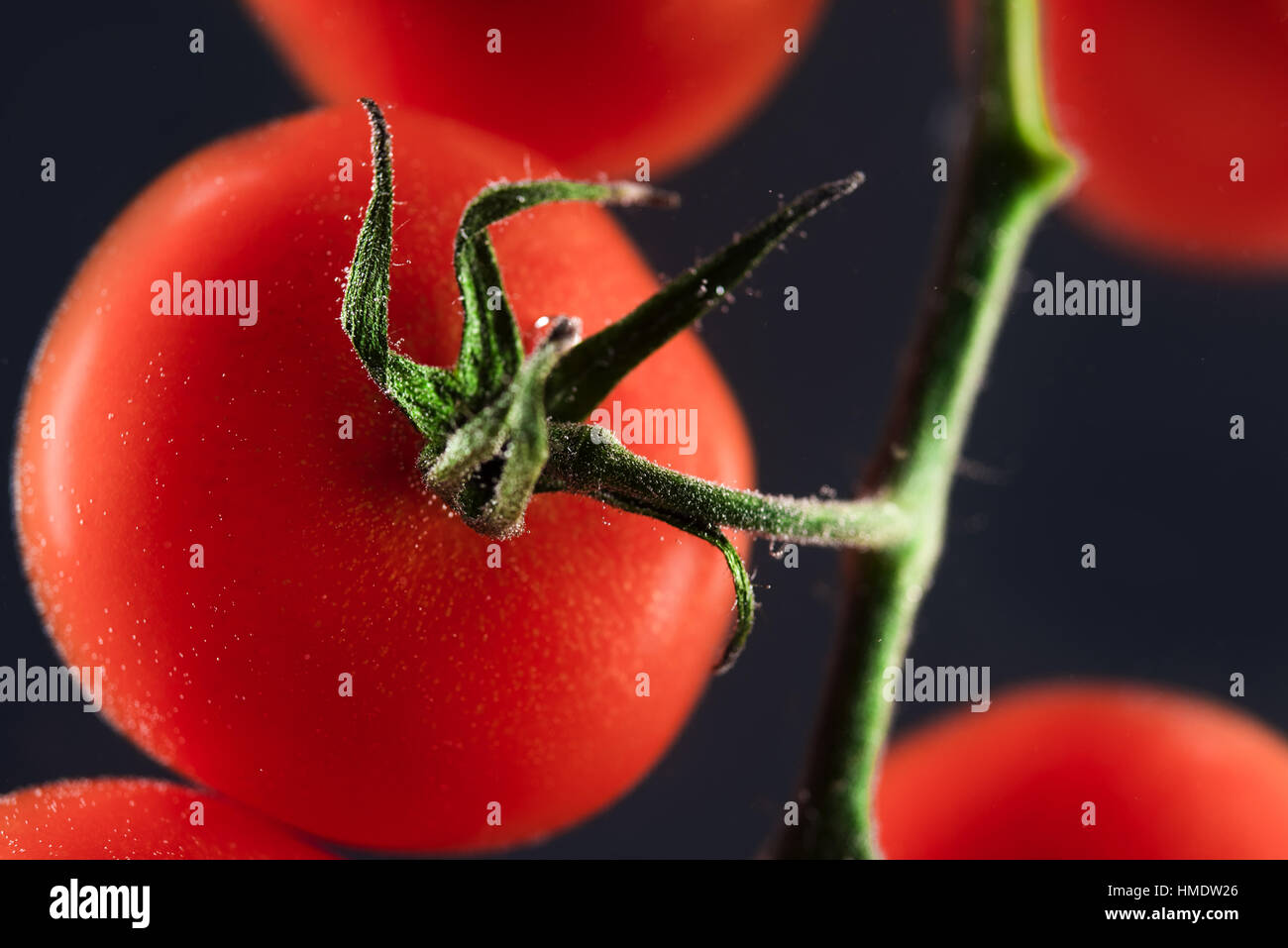Closeup image of ideal round small tomato vegetables with green fresh ...