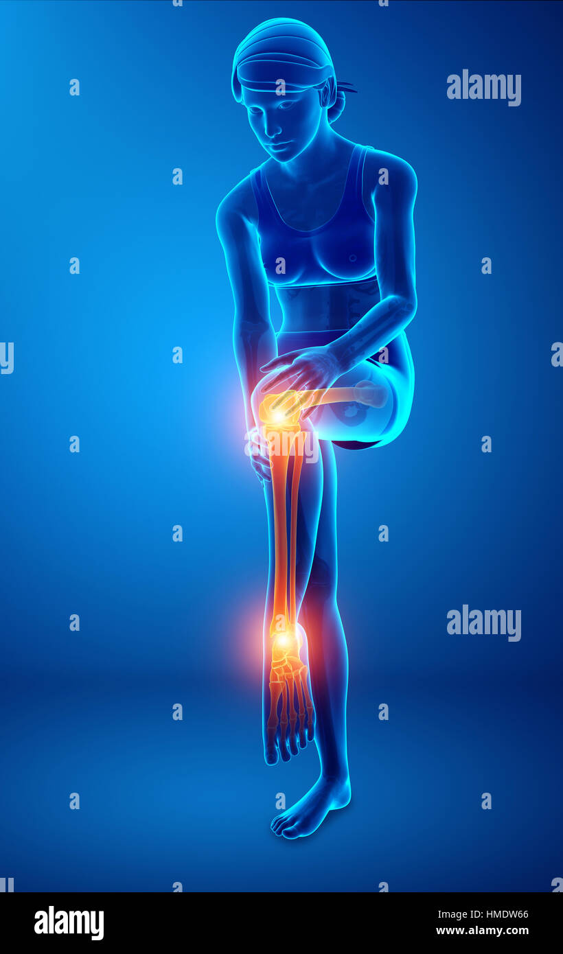human body anatomy with joint pain Stock Photo - Alamy