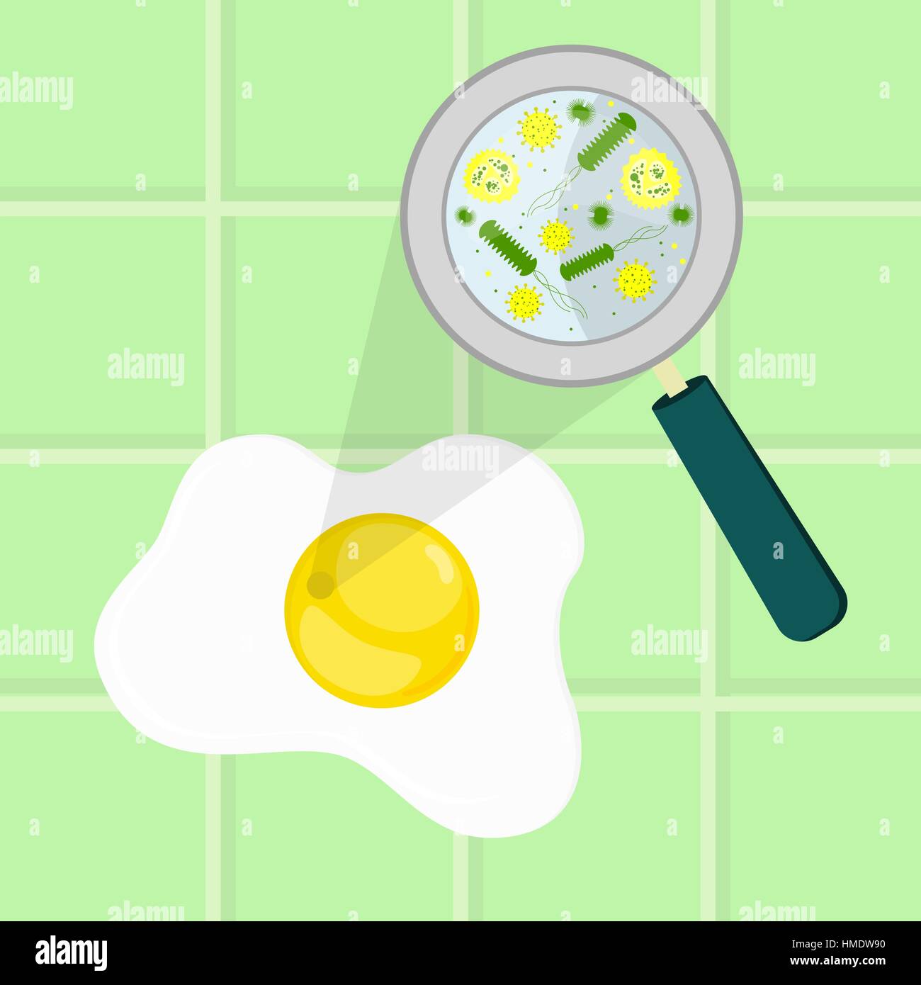 Contaminated egg. Microorganisms, virus and bacteria (salmonella) in ...