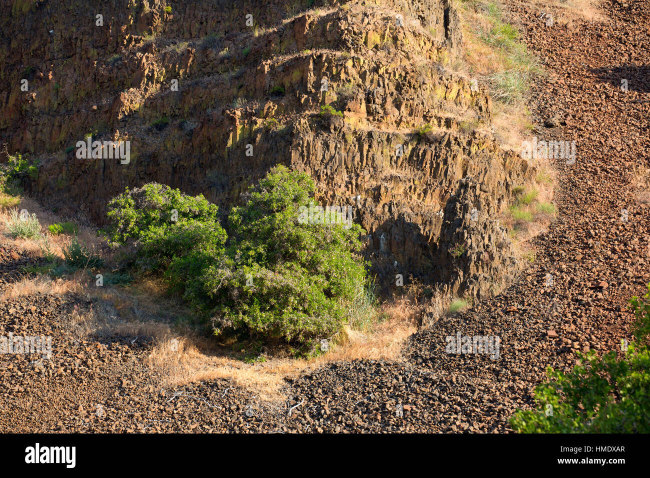 Basalt cliff above John Day Wild and Scenic River, Cottonwood Canyon ...