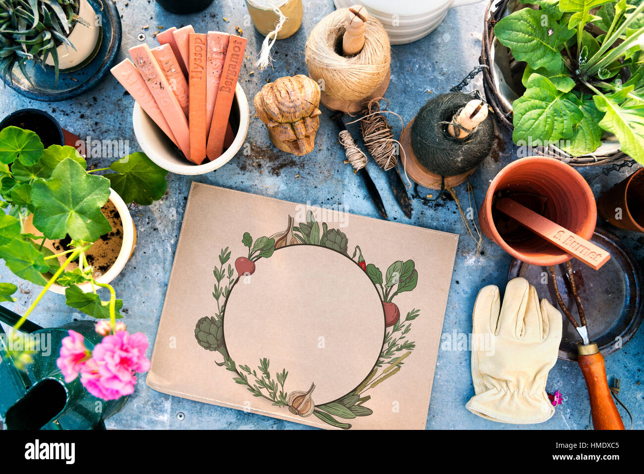 Empty copy space plants leaves border Stock Photo - Alamy