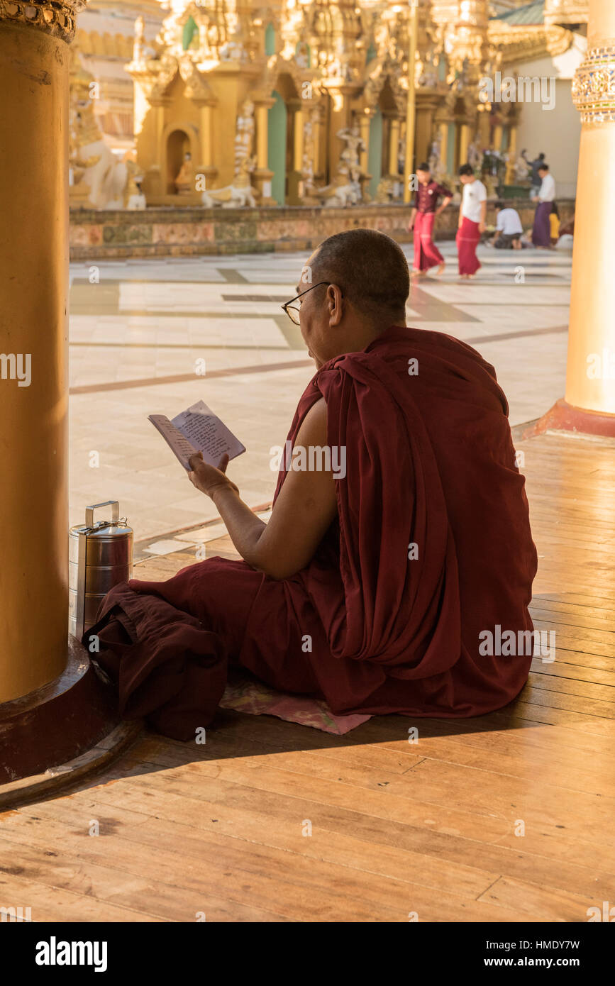 A Buddhist monk in red robes studying Buddhist text whilst sitting on ...