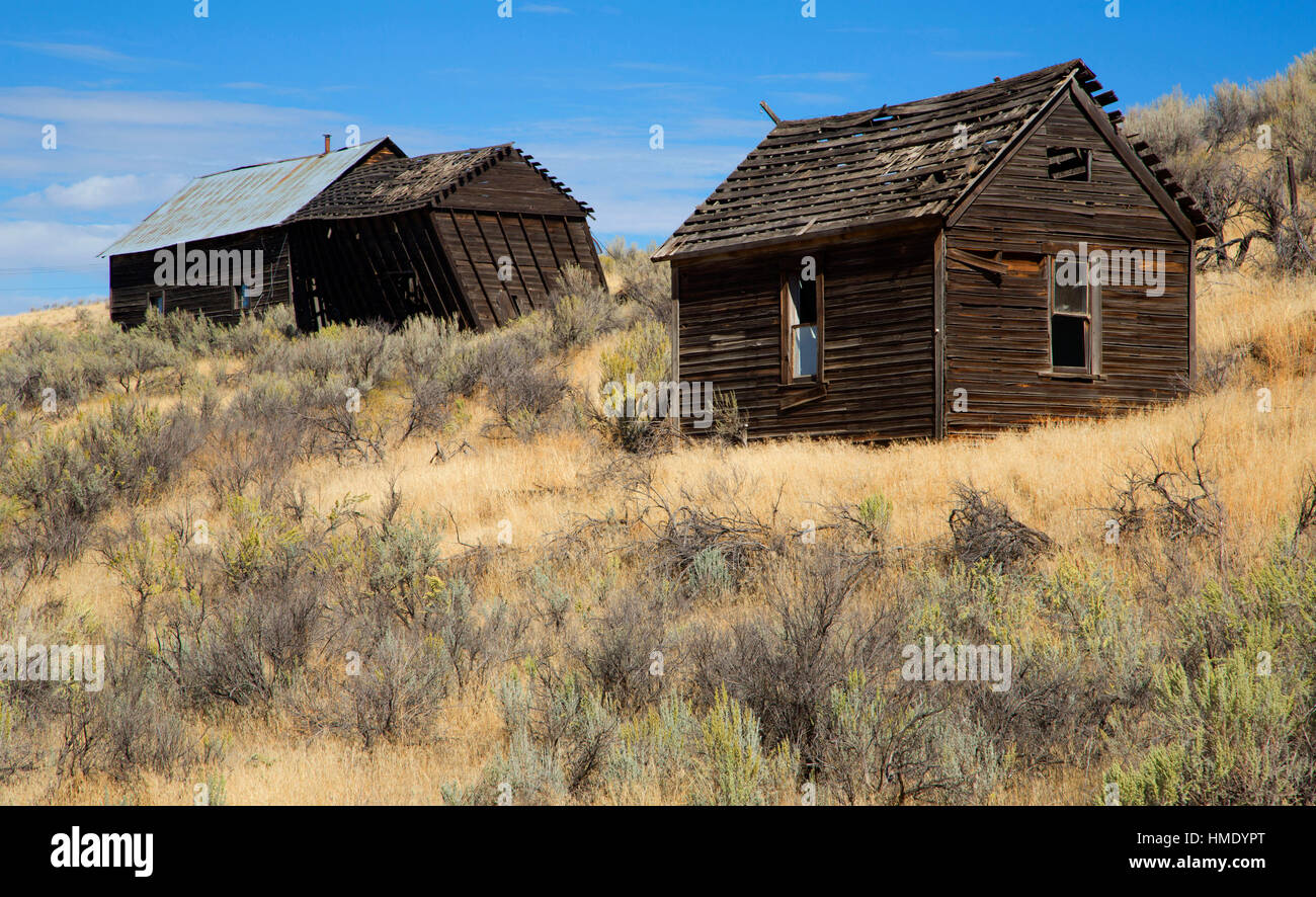 Homestead, Gilliam County, Oregon Stock Photo - Alamy