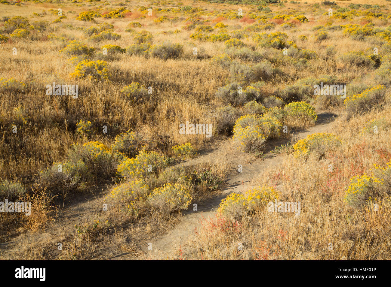 Oregon Trail ruts at Echo Meadows, Oregon Trail National Historic Trail ...