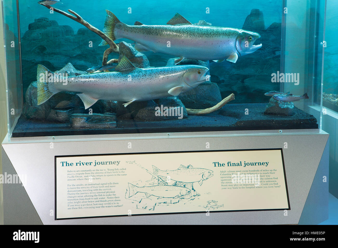 Visitor information center hi-res stock photography and images - Alamy