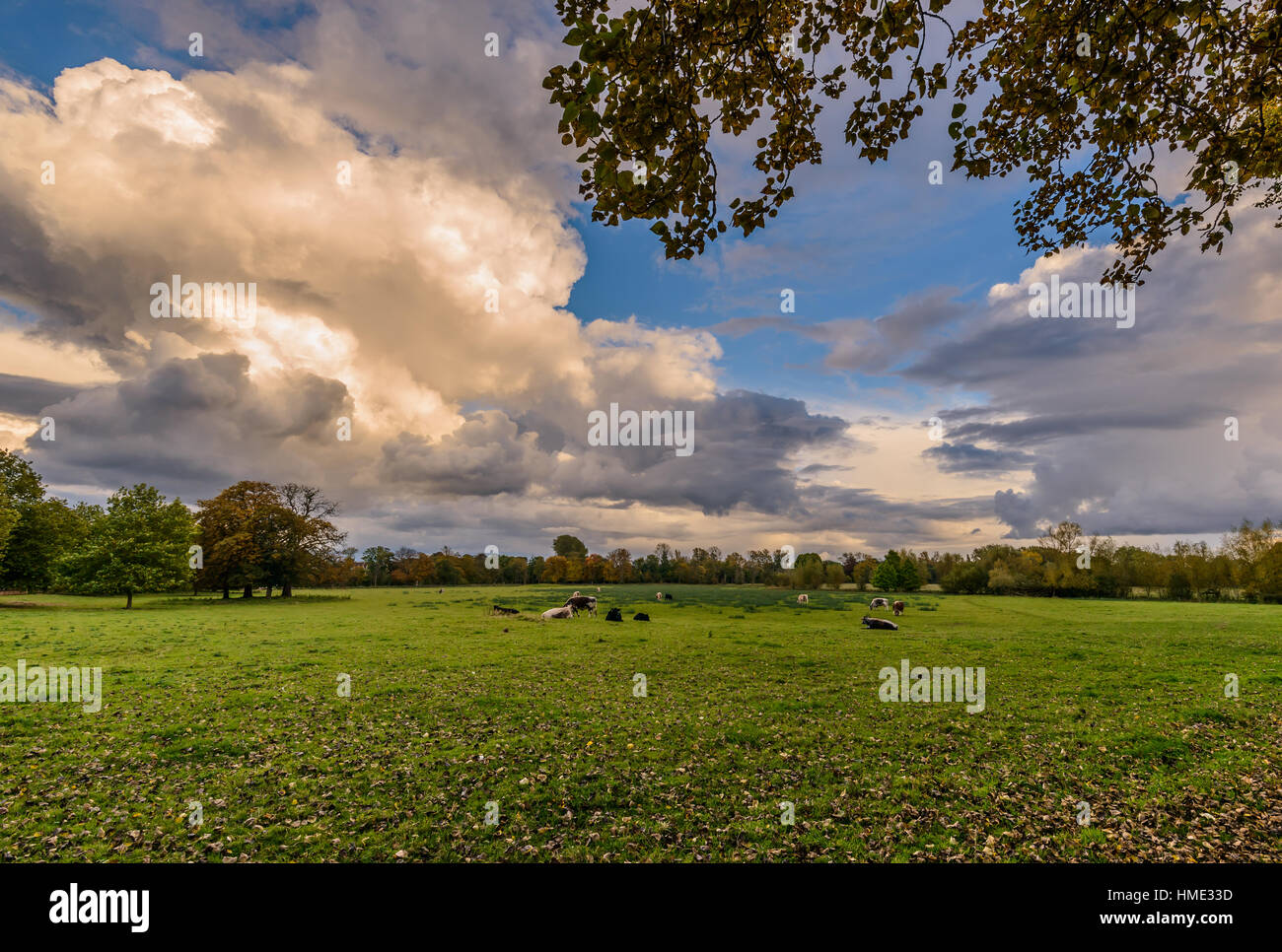 Spectacular clouds over the Christ Church Meadow on the banks of the ...