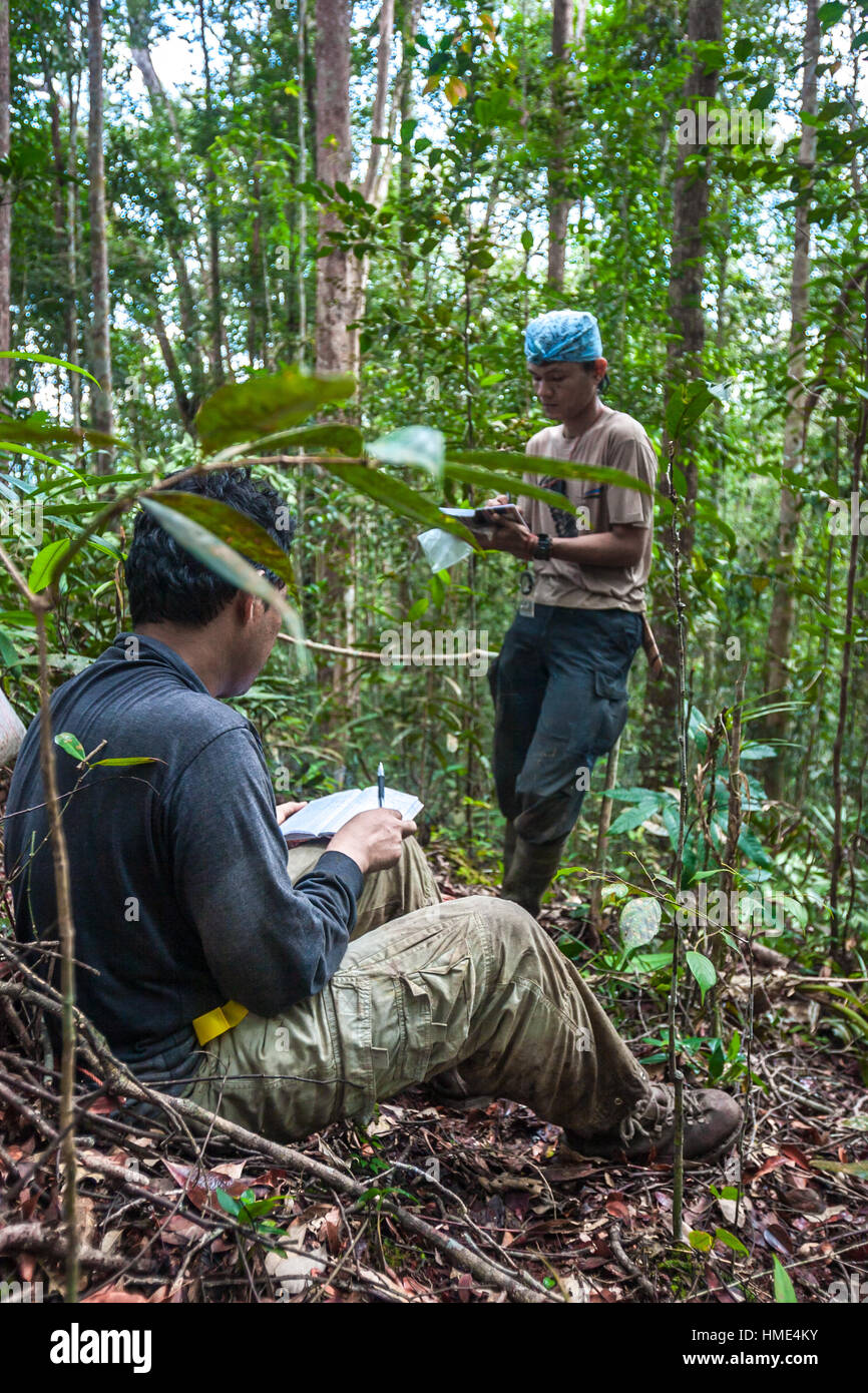 Sumatran rainforest people hi-res stock photography and images - Alamy