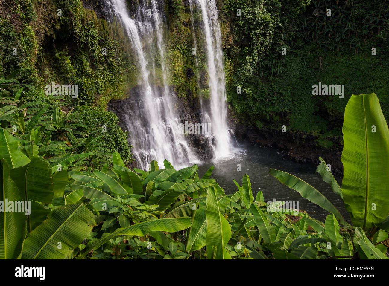 waterfall in deep forest at Pakse Laos Stock Photo - Alamy