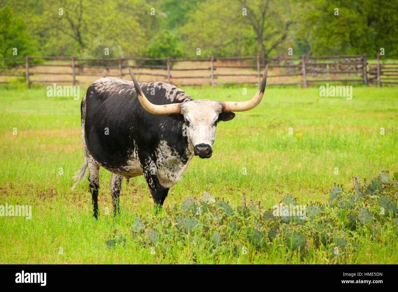 Lyndon B Johnson National Historical Park High Resolution Stock ...