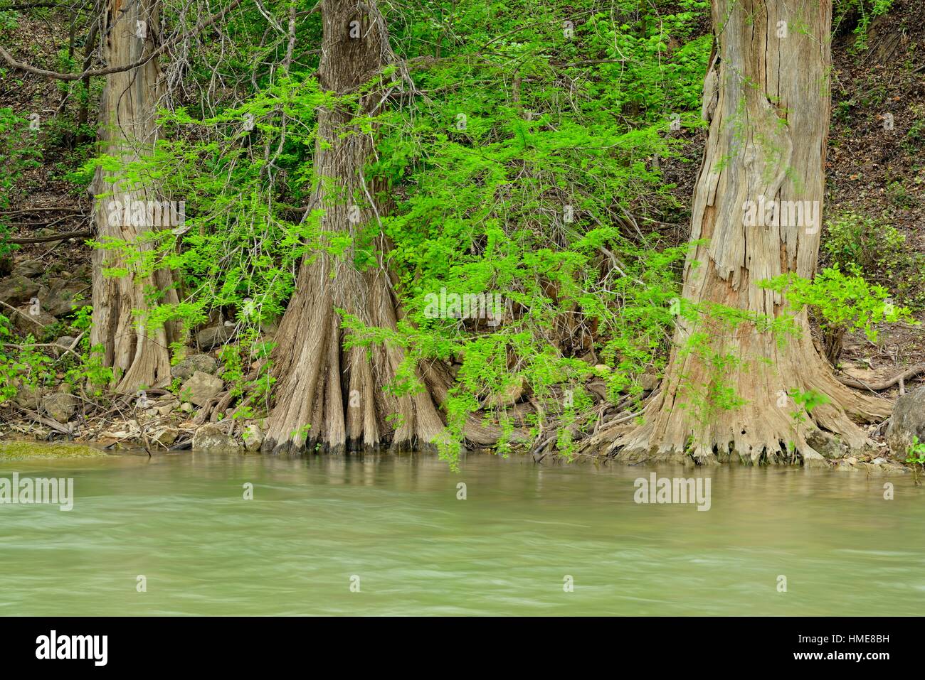 Pedernales river valley hi-res stock photography and images - Alamy
