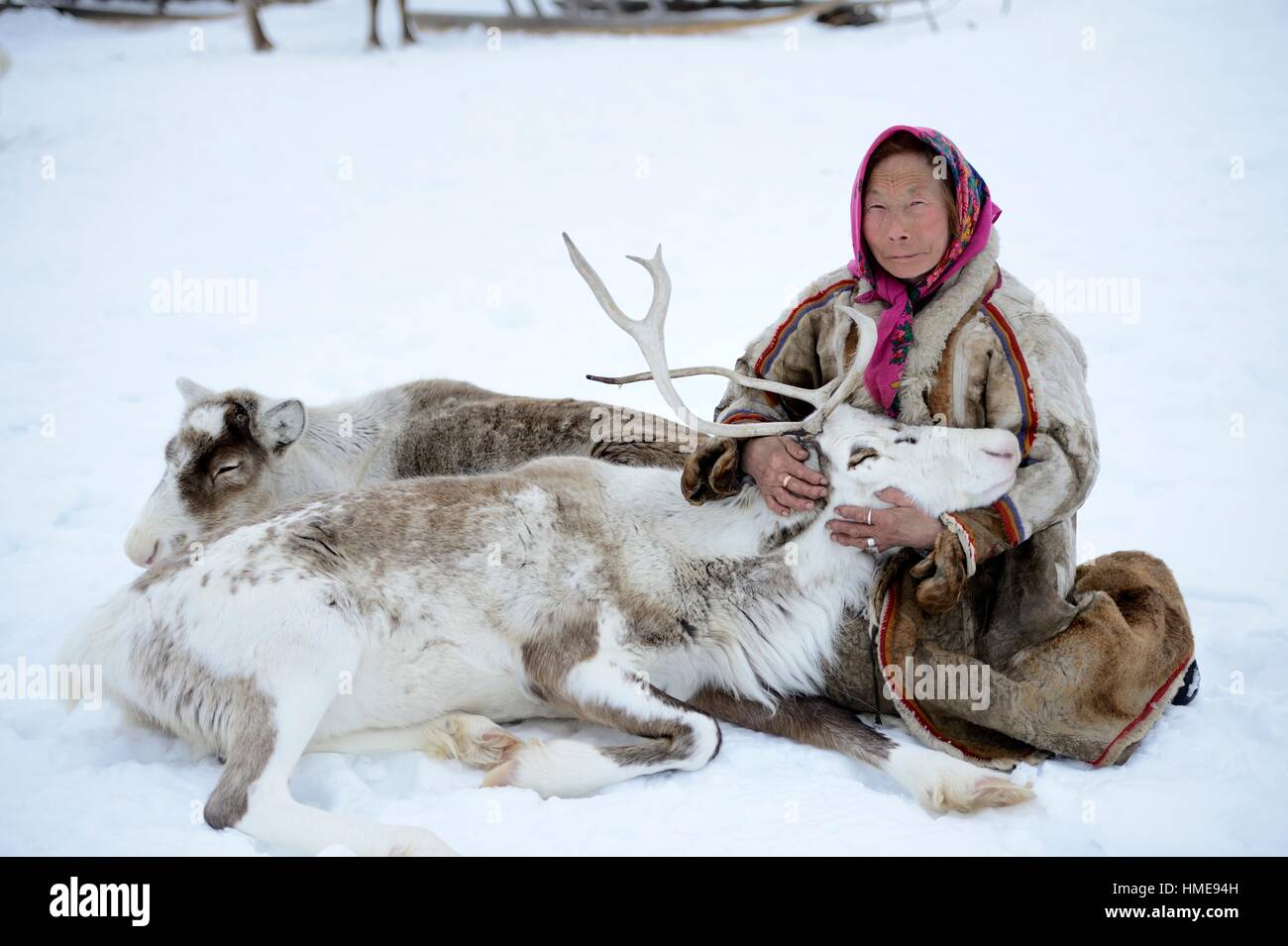 Nenets food hi-res stock photography and images - Alamy
