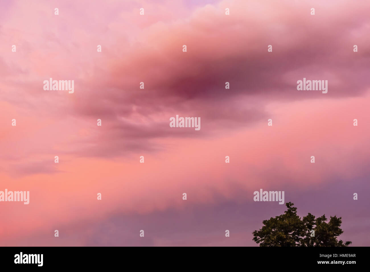 Beauty pink dawn in sky for good mood Stock Photo - Alamy