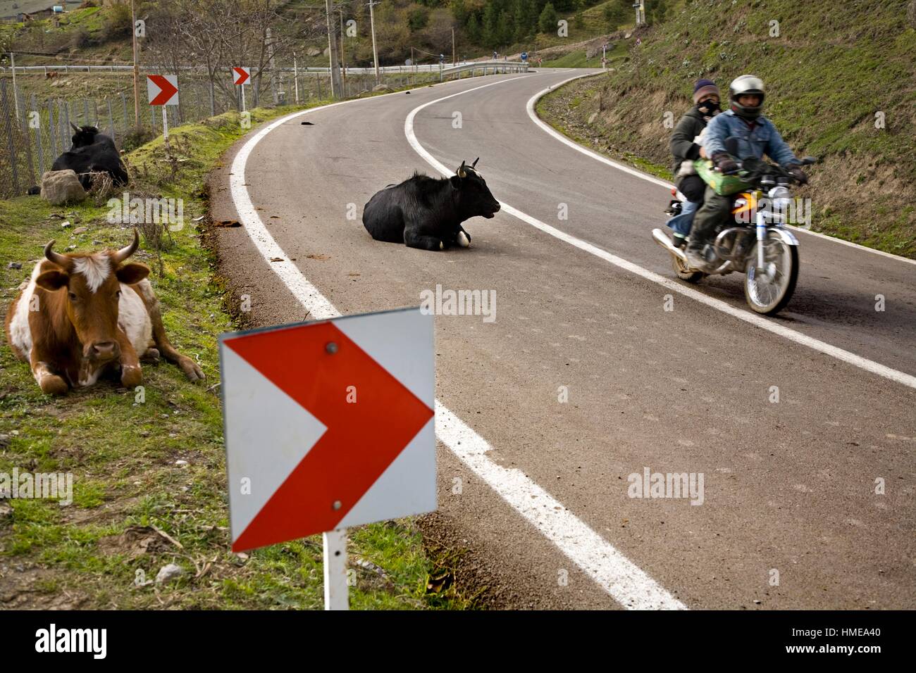 Driving exotic hi-res stock photography and images - Alamy