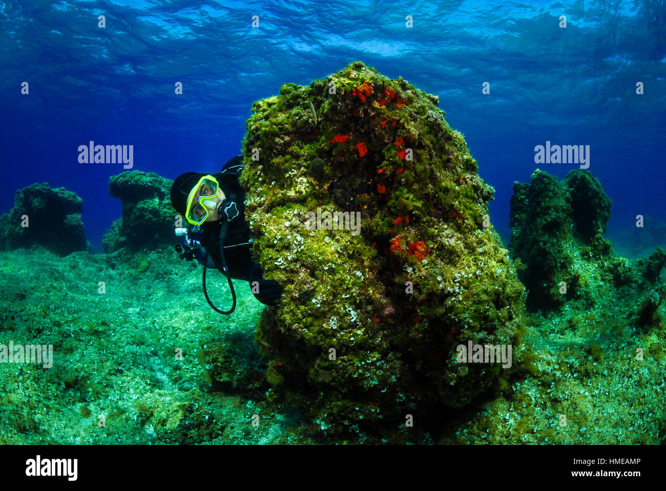 Scuba diver on the bottom of sea with water surface. Underwater photo ...