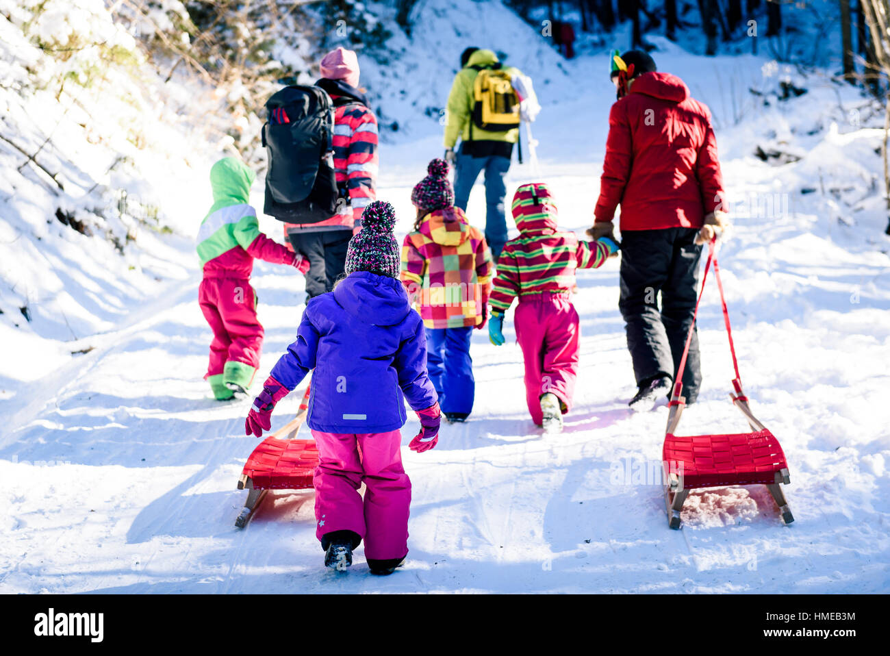People are pulling sledge on the mountain road in woods. Active family ...