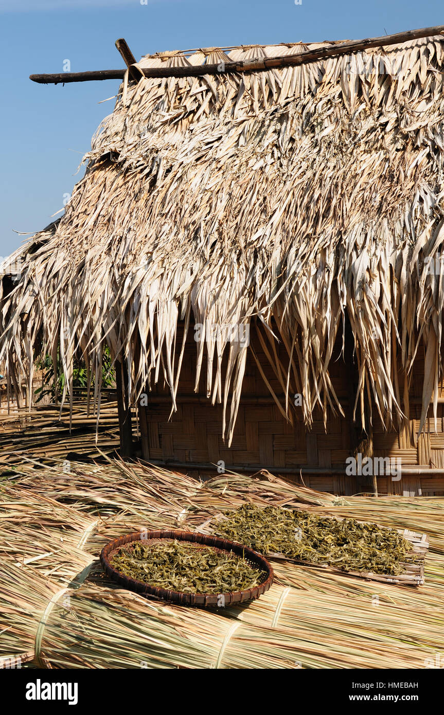 Lao - rural scene on the village near Muang Sing Stock Photo - Alamy