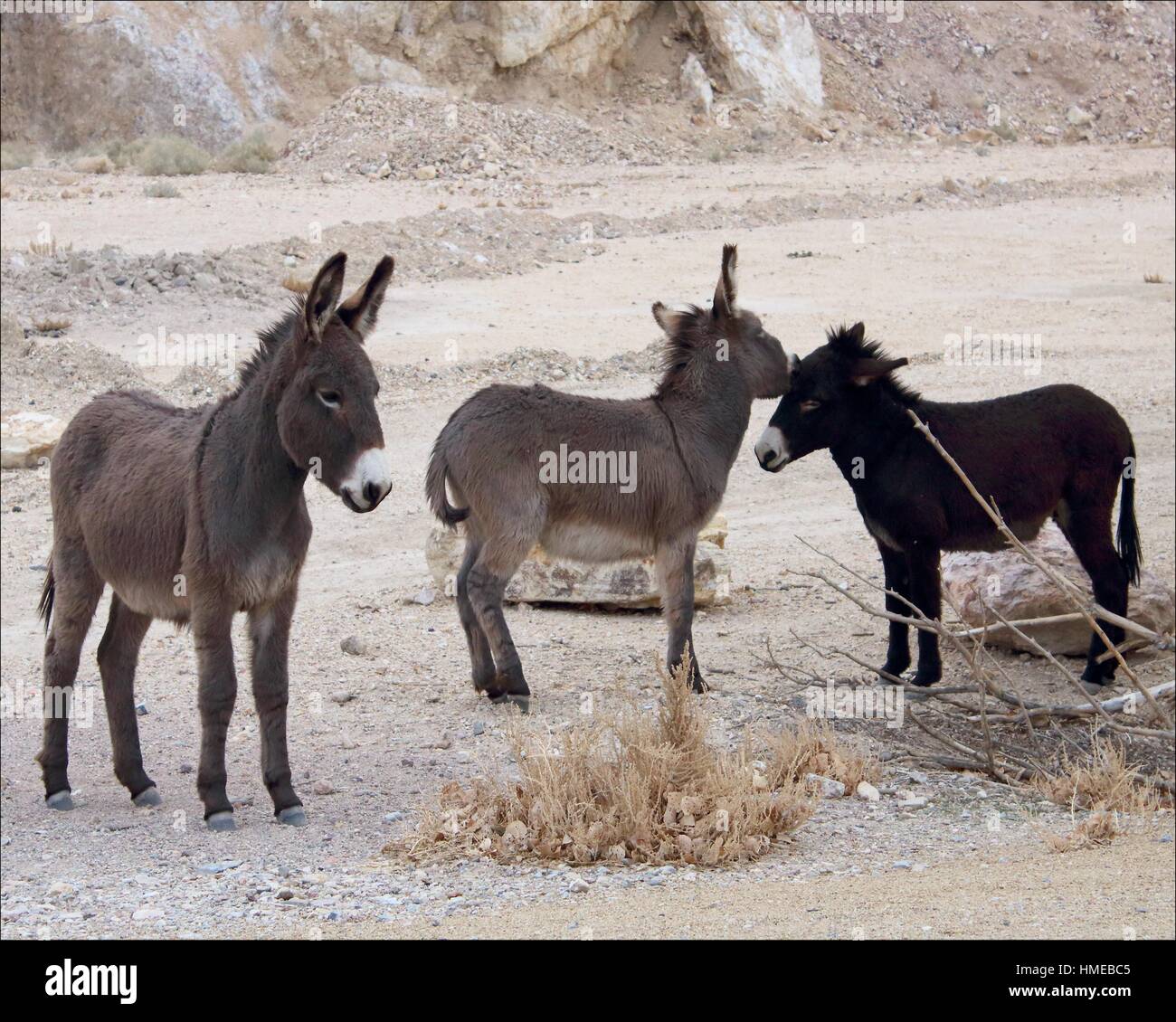 Stand left hi-res stock photography and images - Alamy