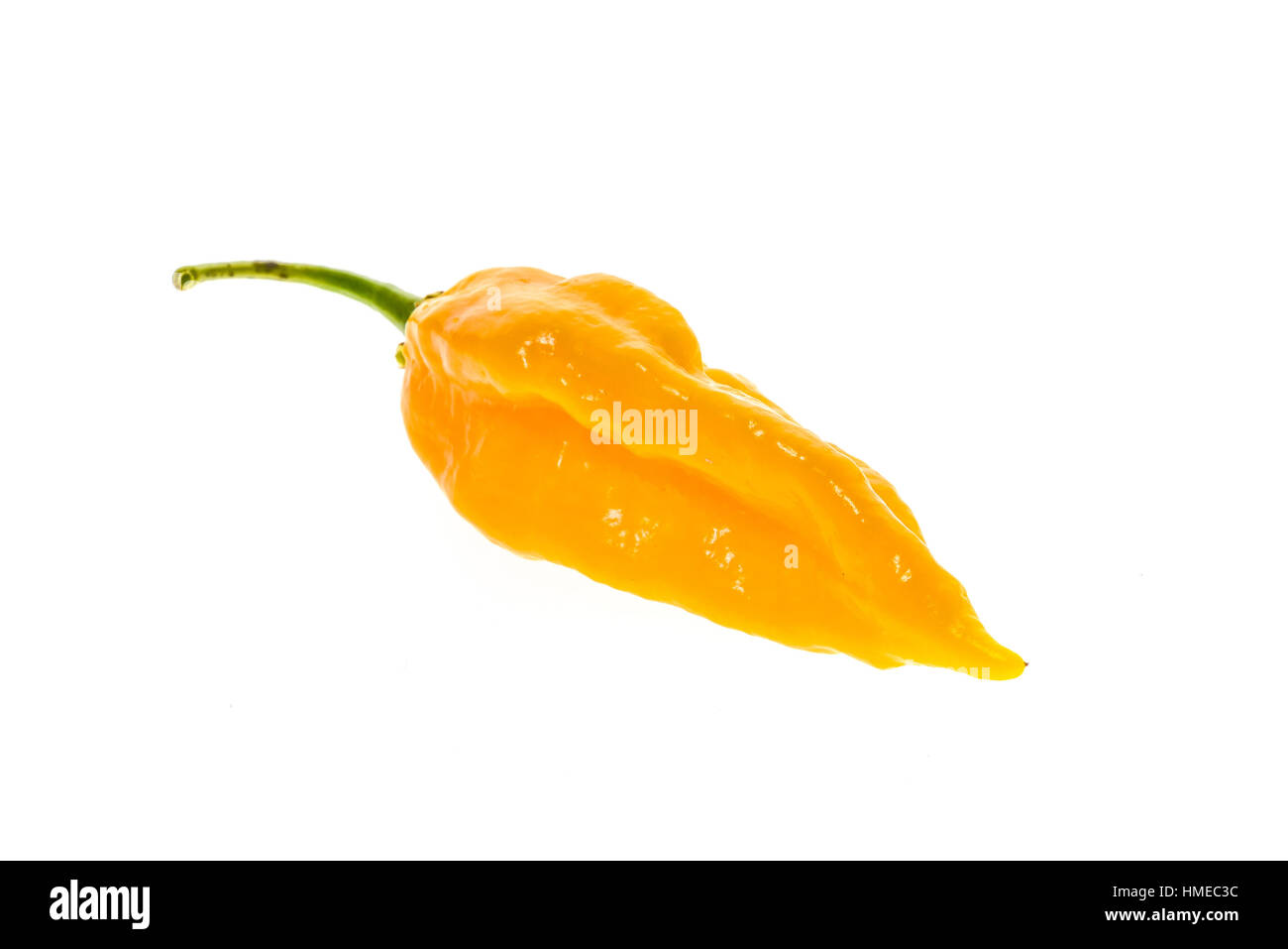 Ripe fresh fatalii yellow chili hot pepper with green stem isolated on ...