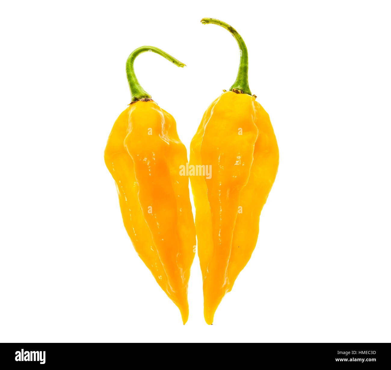 Two Ripe fresh fatalii yellow chili hot pepper with green stem isolated ...